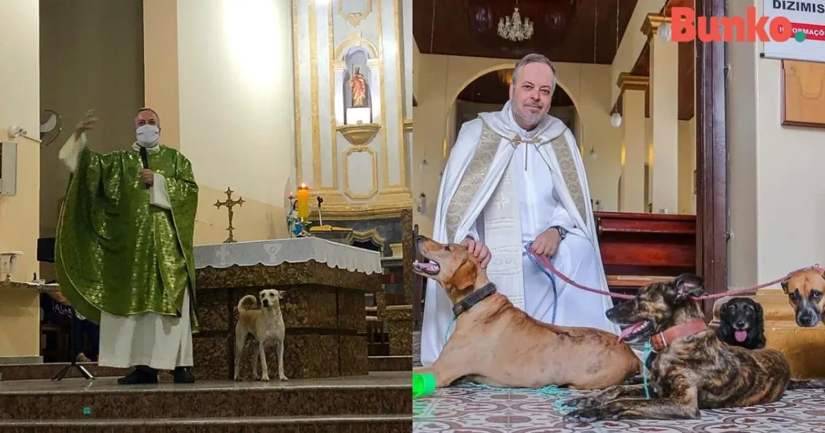 This priest gives stray dogs a miracle, bringing them to church so they ...