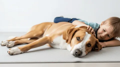 Ways dogs protect children without you noticing