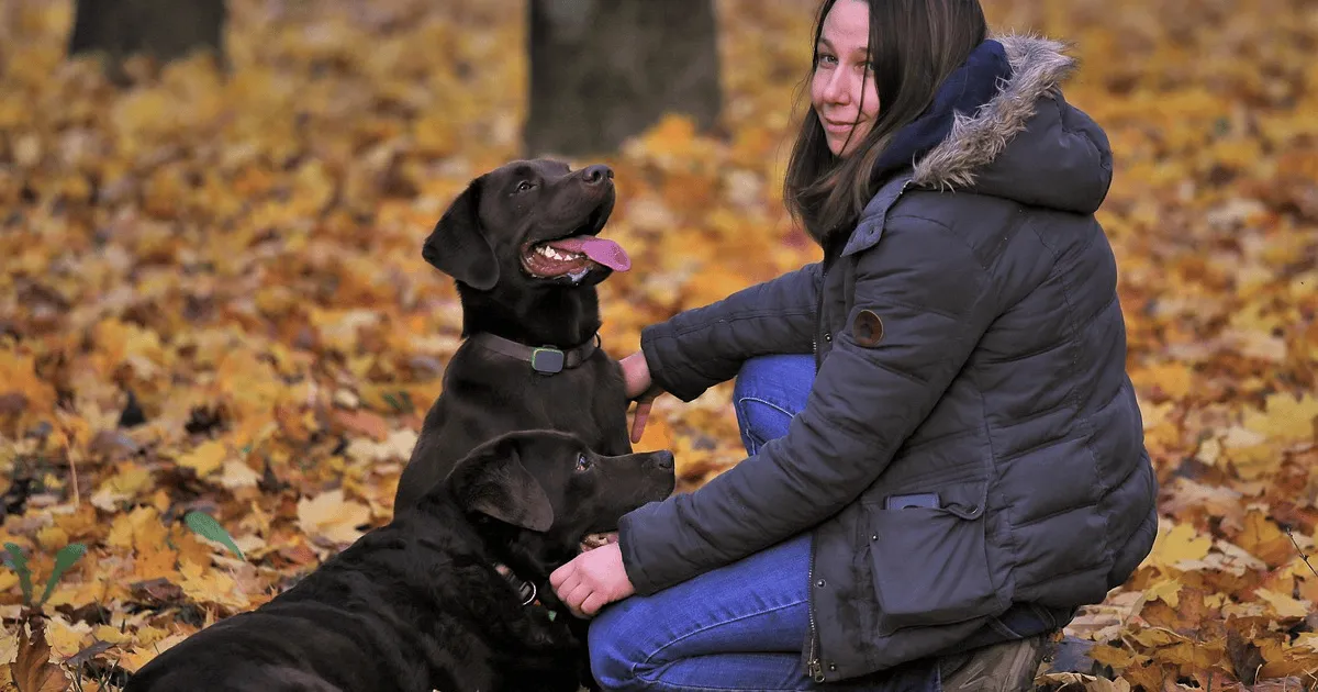 This is what dogs analyze before trusting someone