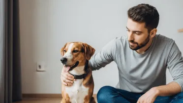 Love triangle alert: what to do when your dog rejects your partner