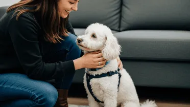 Dog breeds known for affection and emotional support