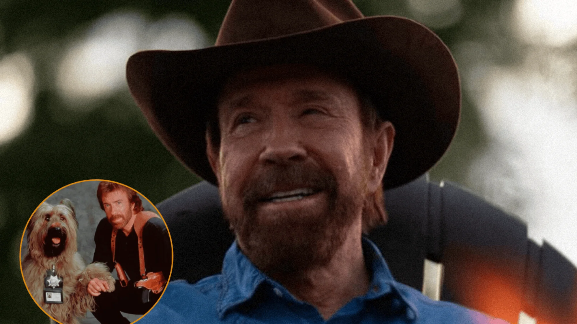 Chuck Norris, action movie icon and renowned animal lover, dies