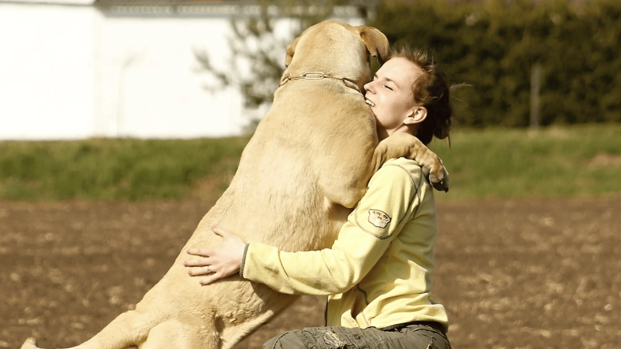 9 signs that are perfect proof that you are your dog's favorite person