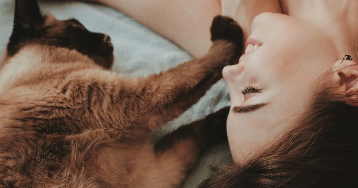 Cats only act in these 6 ways with their favorite human (if they do it ...