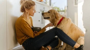 What No One Tells You About Dog Emergencies Until They Happen