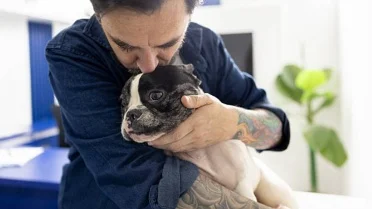 What No One Tells You About Dog Emergencies Until They Happen