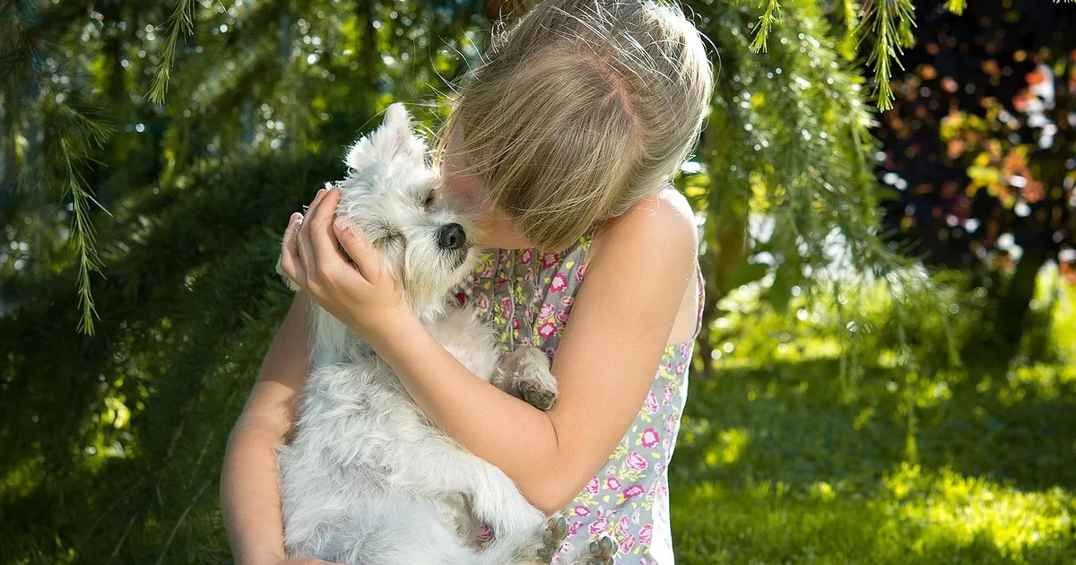 What a dog really feels when you hug it, according to research