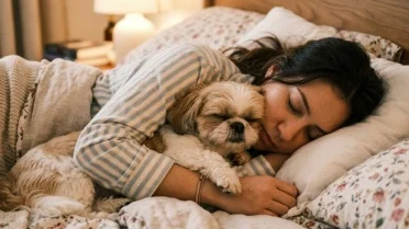 A veterinarian answers whether it's okay for your dog to sleep with you ...
