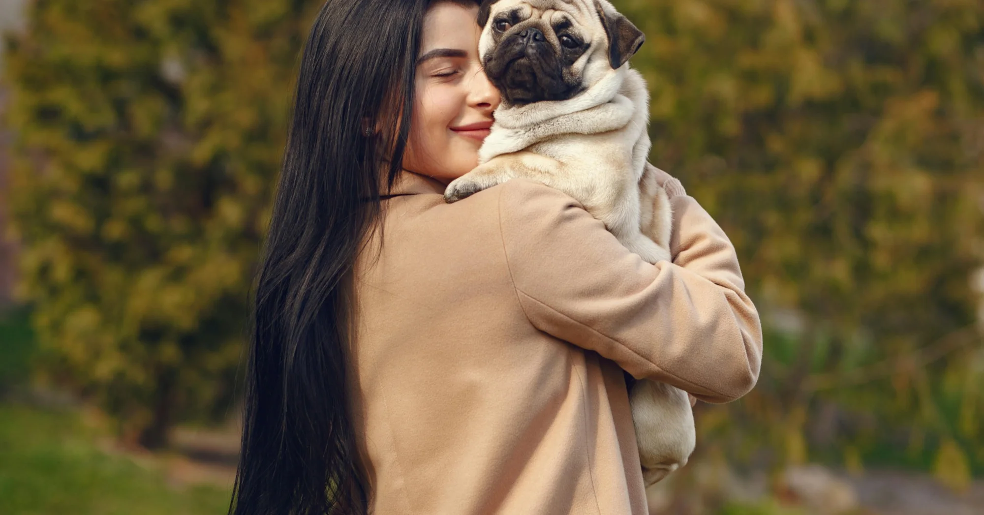 The ultimate cuddle buddies: 7 lapdogs that officially have no concept ...