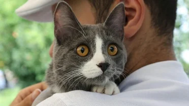 Your zodiac sign reveals what kind of pet owner you are