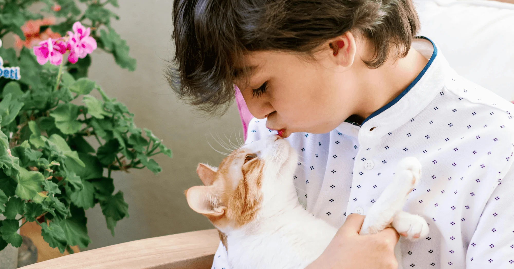 Science explains why cats suddenly become extra affectionate