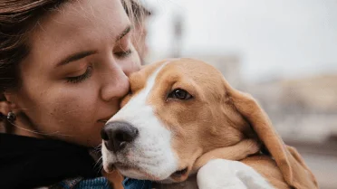 5 Things you do every day that secretly break your dogs heart