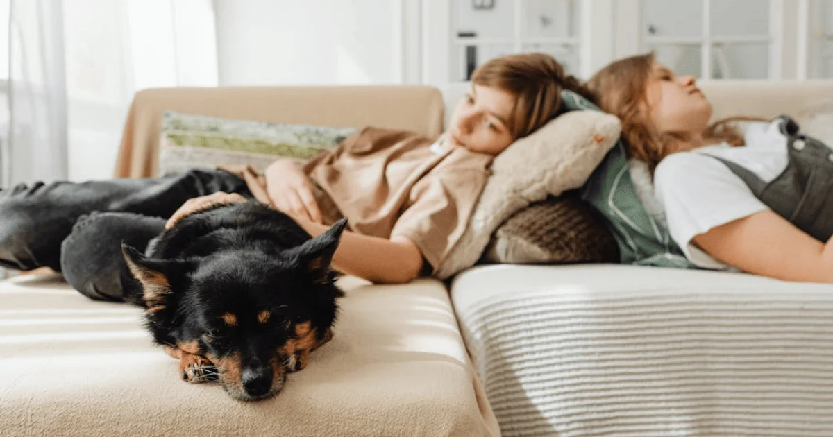 If your dog watches you while you sleep (here's what it means)