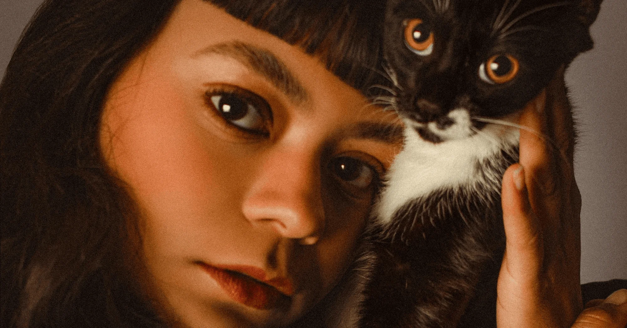 Feline slumber: Decoding the sleeping habits that reveal a special bond ...