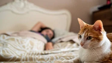 Human habits that cats probably don't like