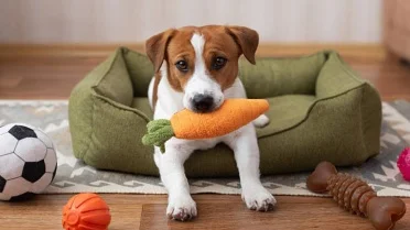 What dog breed would you be according to your zodiac sign?
