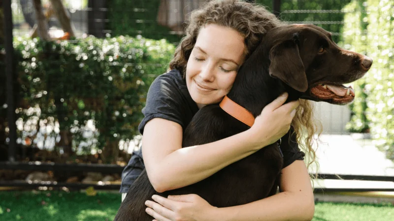 What your dog really understands when you say "I love you"