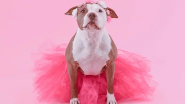 The 7 Funniest Dog Names People Actually Give Their Pets