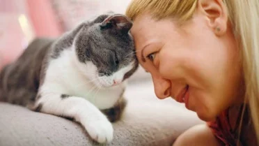 5 feline behaviors that seem to demonstrate a protective instinct