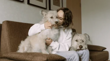 Dog Person or Cat Person? Your Answer May Reveal More About You Than ...