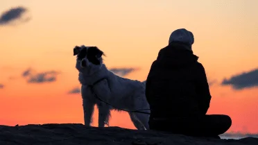 Dog Person or Cat Person? Your Answer May Reveal More About You Than ...