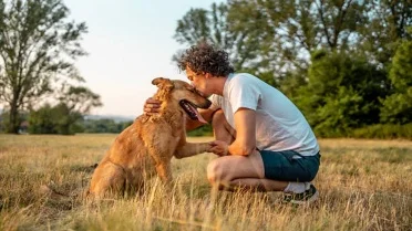 Dogs May Be More Human Than We Ever Realized, Study Suggests