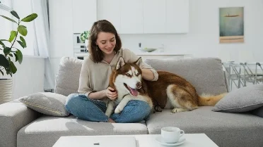 8 behaviors that reveal your dog is emotionally needy