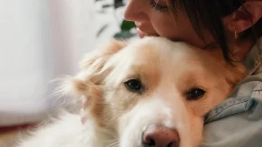 12 Beautiful Signs That Your Dog Feels Deeply Loved, Emotionally Secure ...
