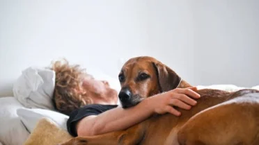 If your dog sleeps curled up next to you, heres what it really means