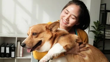 These signs reveal your dog is happier than you thinkincluding the real ...