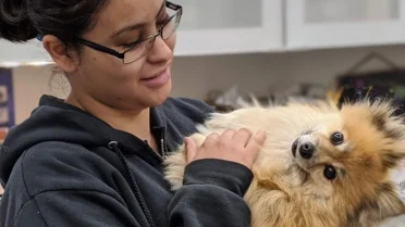 8 Critical Dog Care Mistakes Veterinarians Wish Owners Would Stop Making
