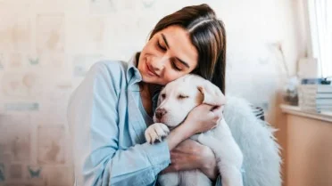 How Long Can a Dog Remember You? Experts Finally Answer