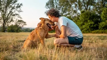More Powerful Than You Think: These 8 Sweet Words Make Your Dog Feel ...