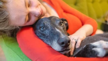 Scientists Have Discovered a Mysterious Change in Dogs' Brains