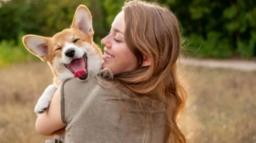 According to veterinarians, every dog needs these 10 things every day